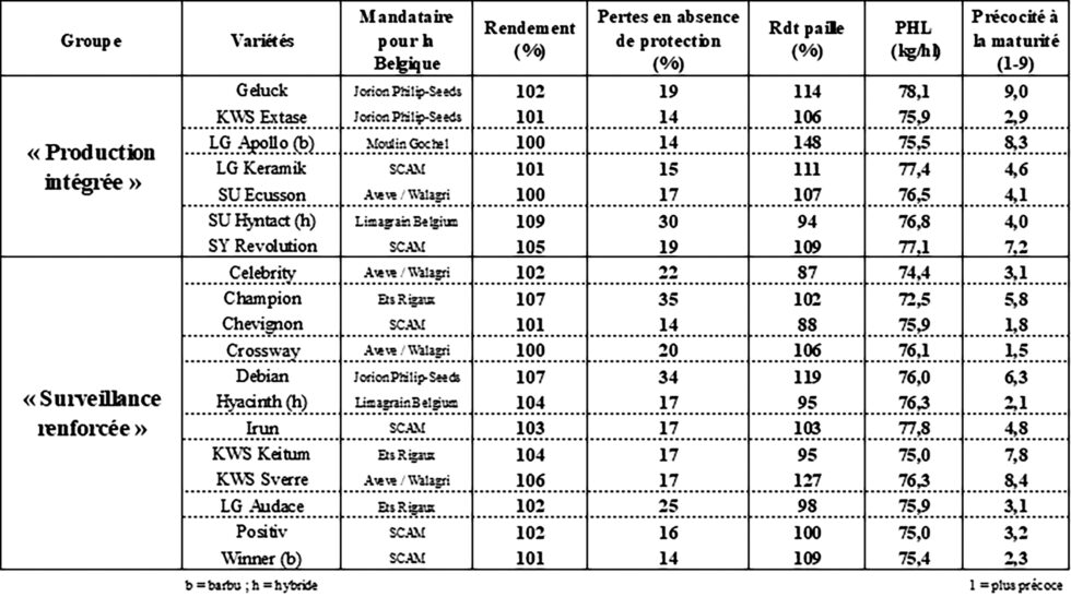 Froment d’hiver: quelles variétés choisir pour les prochains semis ...